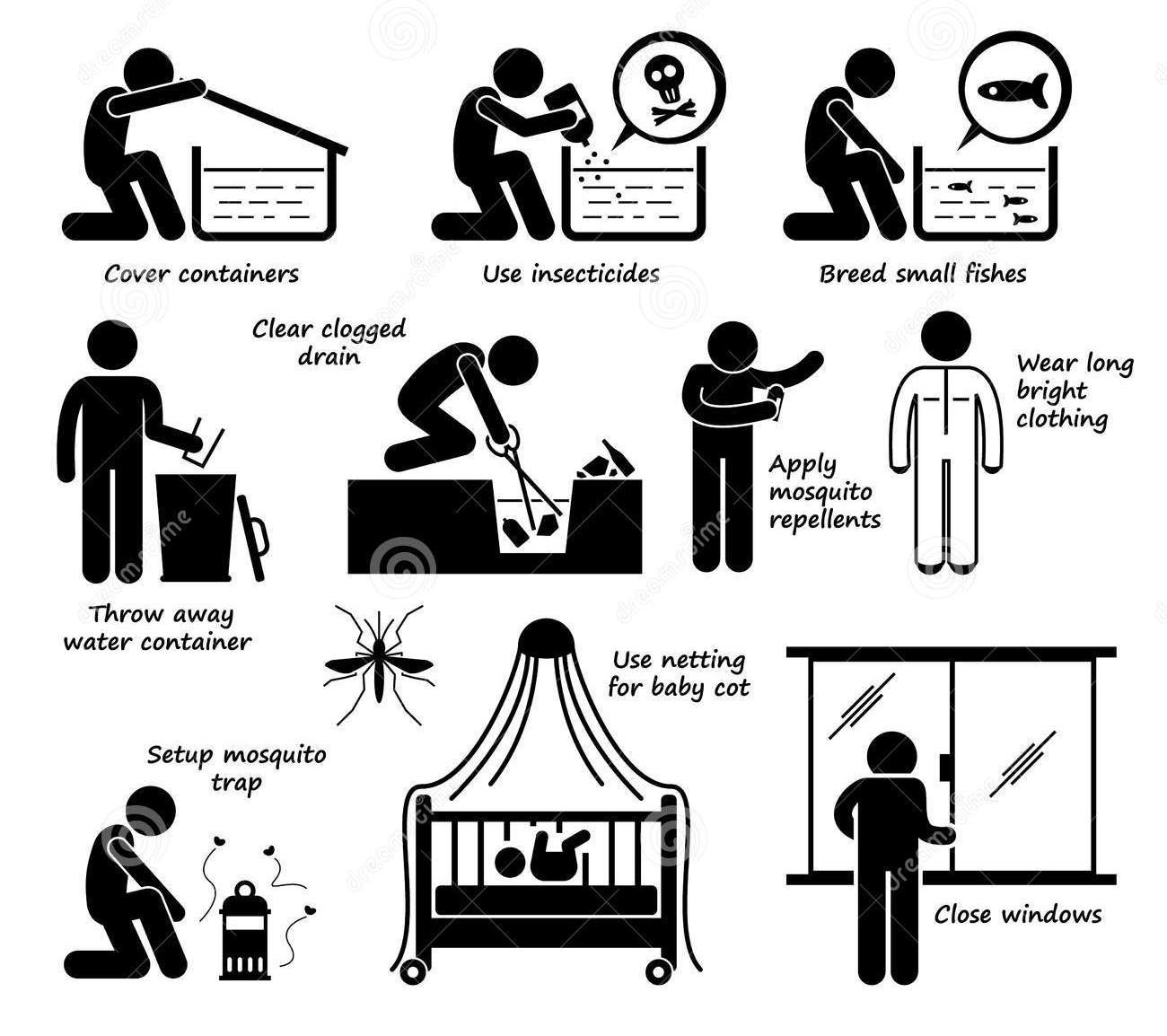 Dengue what to do - Coastal Safety - Boat Captain Sea School