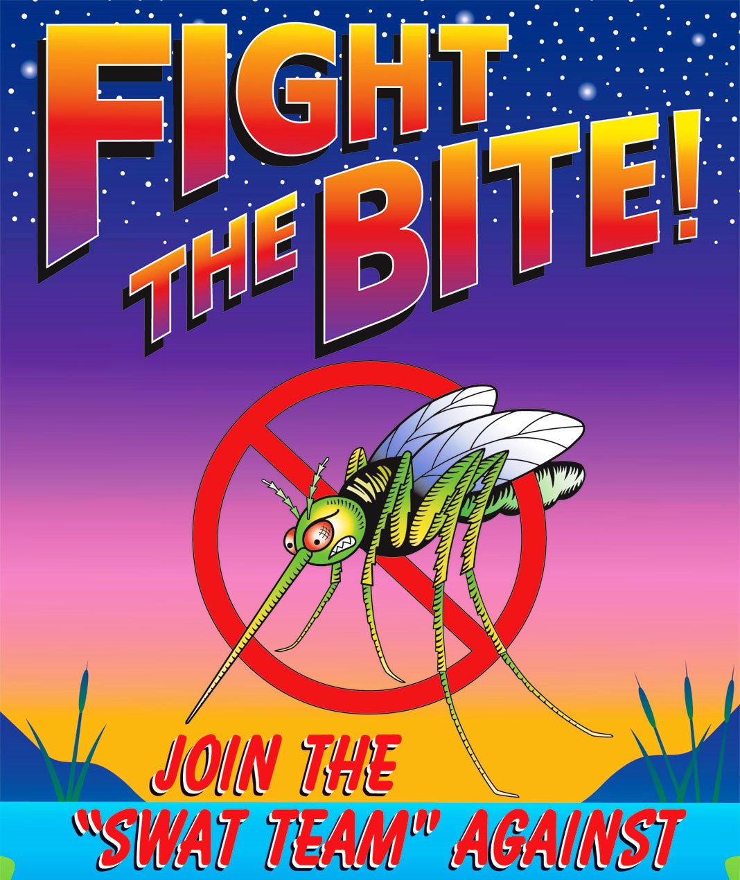 Dengue what to do - Coastal Safety - Boat Captain Sea School